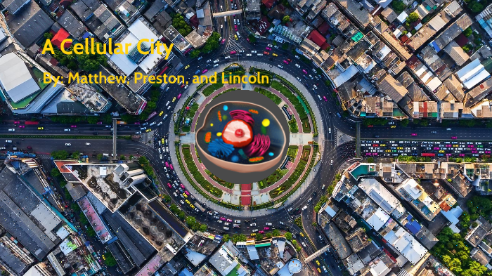 A Cellular City by Matthew Ji on Prezi