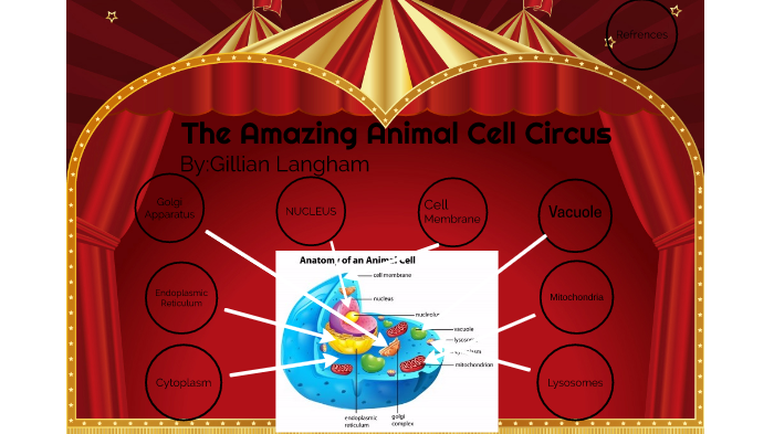 Gillian Langham Cell Project by Gillian Langham on Prezi