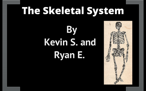 The Skeletal System by Kevin Shulman on Prezi