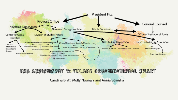 ISIB Assignment 2: Tulane organizational chart by Annie Strnisha on Prezi