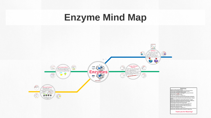 Enzyme Mind Map by Amit Grewal on Prezi
