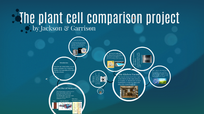 The plant cell comparison project by Jackson Finley on Prezi