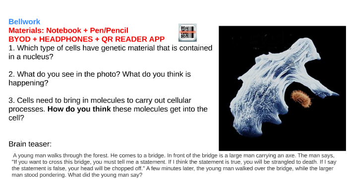 Day 072b - Organelles (gallery walk notes) by Nathaniel Benson on Prezi