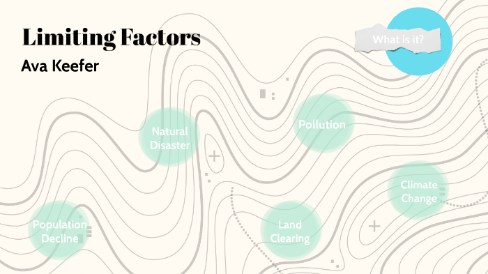 Limiting Factors by Ava Keefer on Prezi