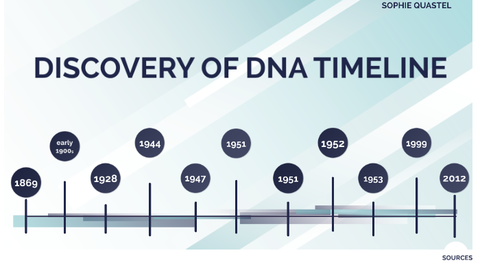 bio timeline by sophie quastel on Prezi