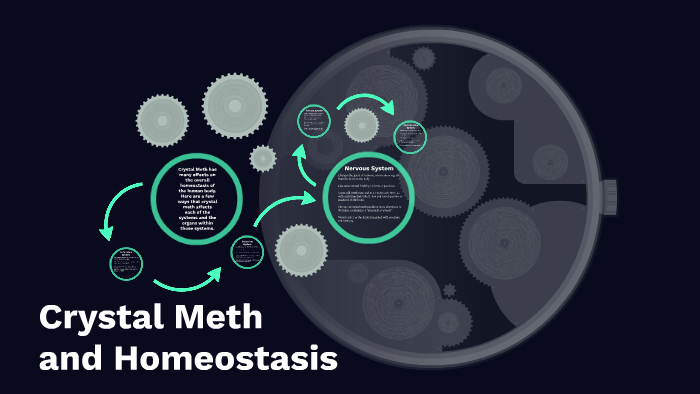 Crystal Meth and Homeostasis by Max Chilton on Prezi