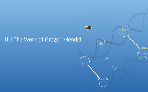 11.1 The Work of Gregor Mendel by Cole Hardacre on Prezi