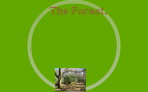 Forest ecosystem by Luc Comeau on Prezi