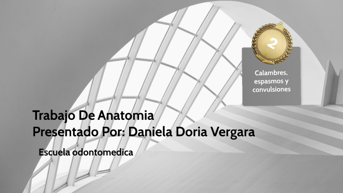 Trabajo De Anatomia Presentado Por: Daniela Doria Vergara by ronald ...