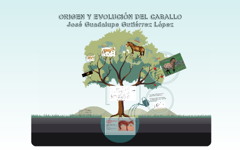 ORIGEN Y EVOLUCIÓN DEL CABALLO by José Guadalupe Gutiérrez López on Prezi