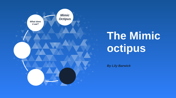 Mimic Octipus by Lily Barwick on Prezi