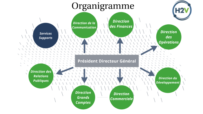 Organigramme Fonctionnel V5 by Anna-Camilla VELUSTRIA on Prezi