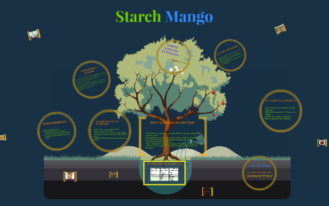 STARCH MANGOES by Khaleem Mohammed on Prezi