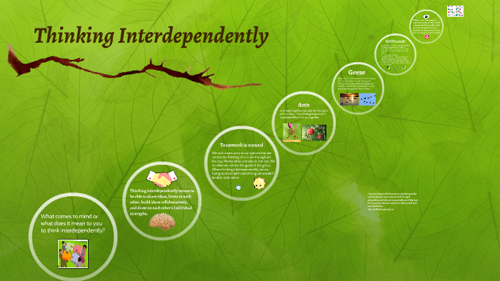 Thinking Interdependently by Vanessa Gates on Prezi