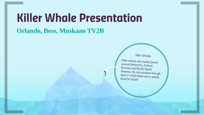 Killer Whale Presentation by on Prezi