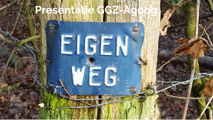 Presentatie GGZ-Agoog by P Massop on Prezi