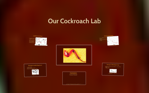 Cockroach Lab by Kim Lavelle on Prezi