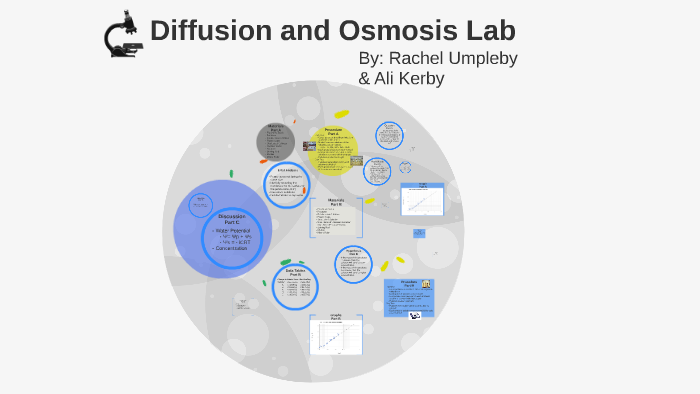 Diffusion and Osmosis Lab by Ali Kerby on Prezi