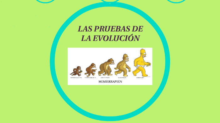 LAS PRUEBAS DE LA EVOLUCION by Charo Ibero