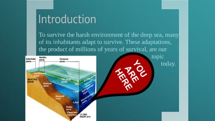 Abyss creatures and their adaptations by Oliver Diaz on Prezi
