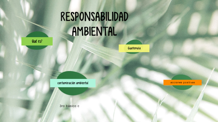 RESPONSABILIDAD AMBIENTAL by gabriela maria on Prezi