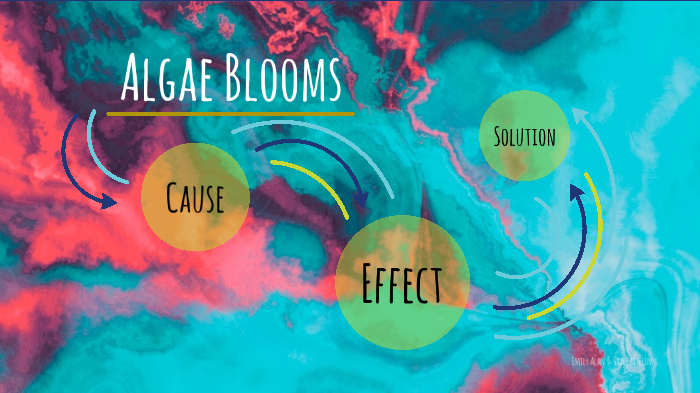 Algae Blooms by Saige Heelein on Prezi