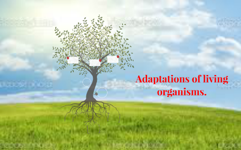 Adaptations of living organisms. by maxim alekseev on Prezi