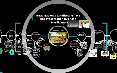 Texas Natives Coahuiltecans tree map presentation by chase sturdivant ...