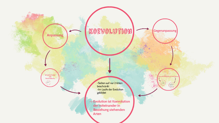 Koevolution by Alina Groll on Prezi