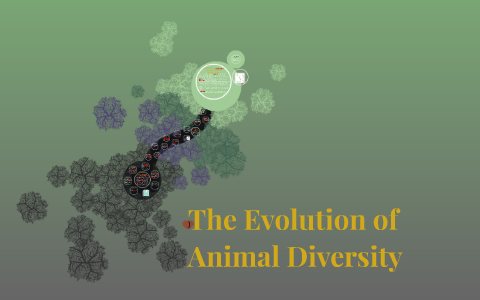 The Evolution of Animal Diversity by Madison Ross on Prezi
