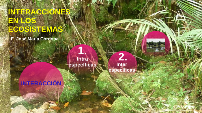 INTERACCIONES EN LOS ECOSISTEMAS by Nohora Elizabeth Velasco Leguizamón ...