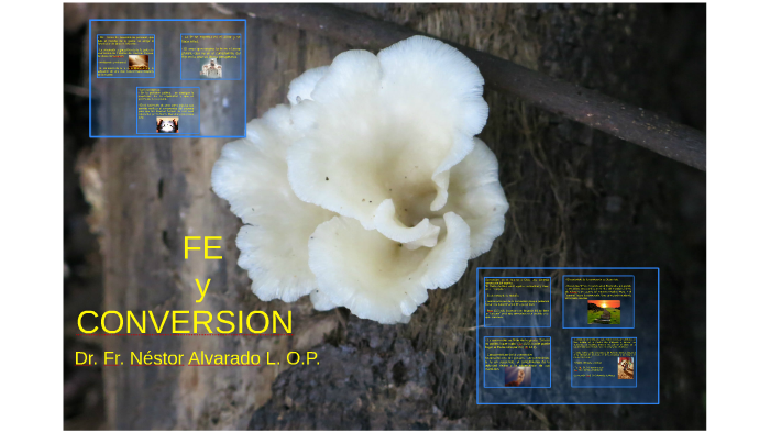 FE Y CONVERSION by Néstor Alvarado