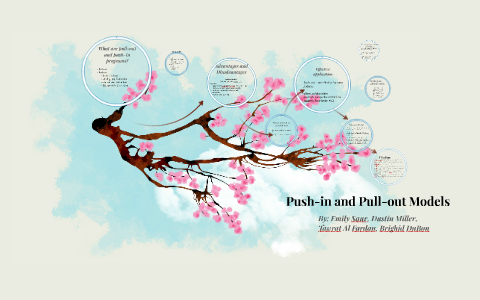 ESL Push in and Pull out models by Dustin Miller on Prezi