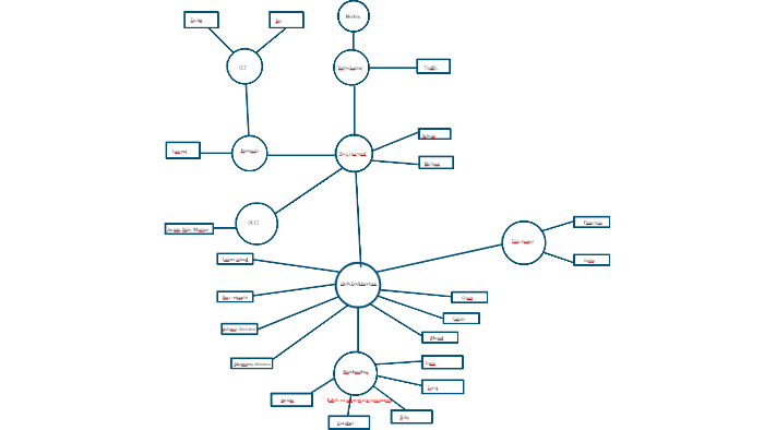 Netwerkschema by Jonathan Vande Velde on Prezi
