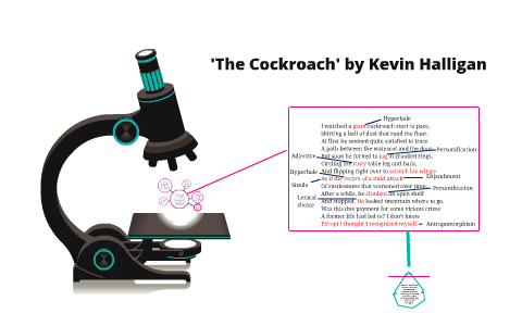 Analysis of 'The Cockroach' by Kevin Halligan by faiyaz lokhandwala on ...