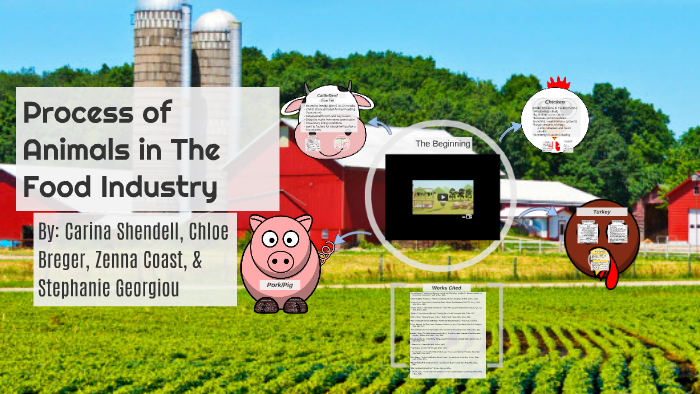 Process of Animals in Food Industry by Stephanie Georgiou