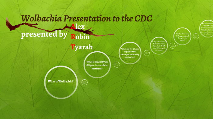 Wolbachia Project by Robin Bajwa on Prezi