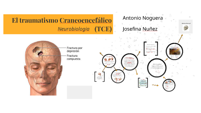 El traumatismo craneoencefálico (TCE) by antonio noguera