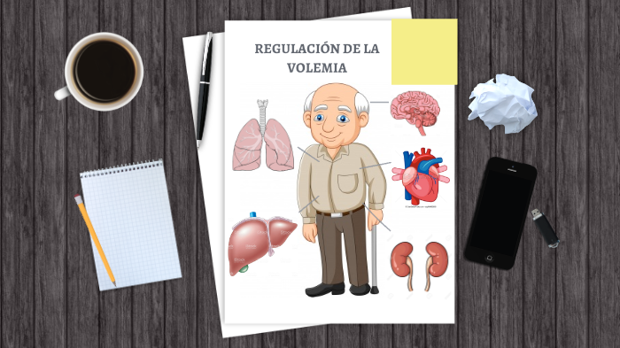 Regulación de la volemia by carla sanz on Prezi