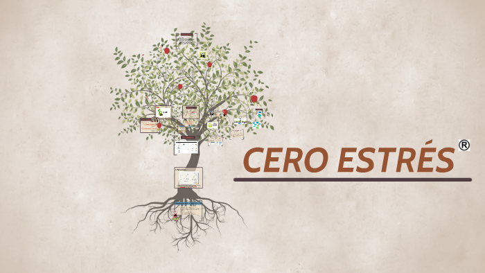 Cero Estres Logo