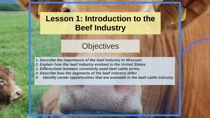 Beef Lesson 1: Introduction to the Beef Industry by Rachel Longan on Prezi