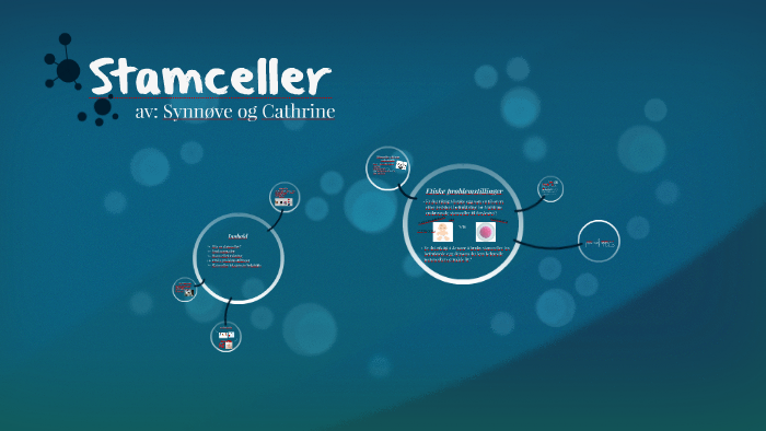 Stamceller by Cathrine Dyrendahl on Prezi