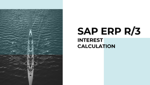 SAP interest calculation by andy Nguyen on Prezi Design