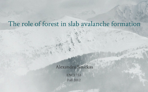 The role of forest in slab avalanche formation by Alexandra Sinickas