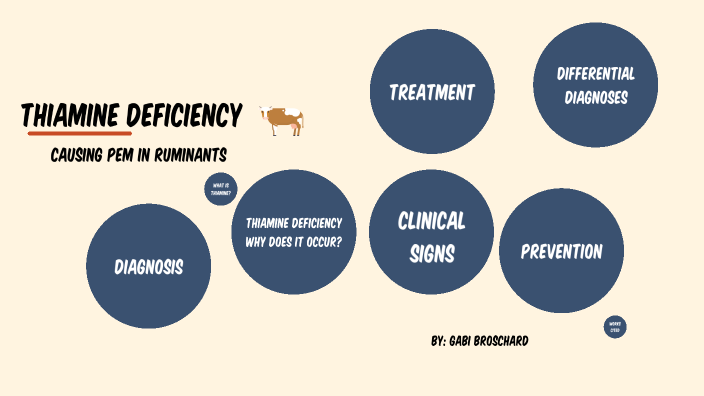 Thiamine deficiency by Gabi Broschard on Prezi