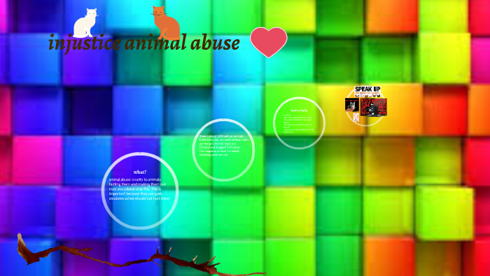 injustice animal abuse by juliet wasut on Prezi