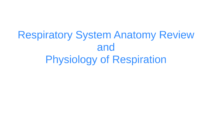 Respiratory System Anatomy Review by Dan Anger