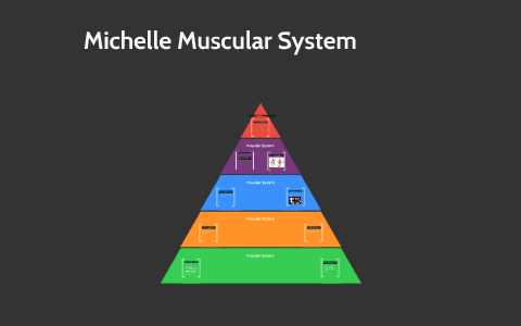 Michelle Muscular System by James Perry on Prezi