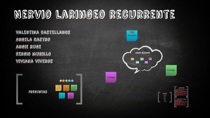 Nervio laringeo recurrente by Valentina Castellanos on Prezi