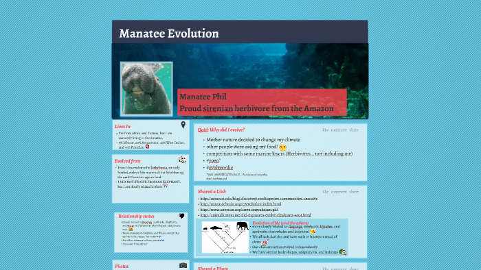 Manatee evolution by Jessica Kelly on Prezi
